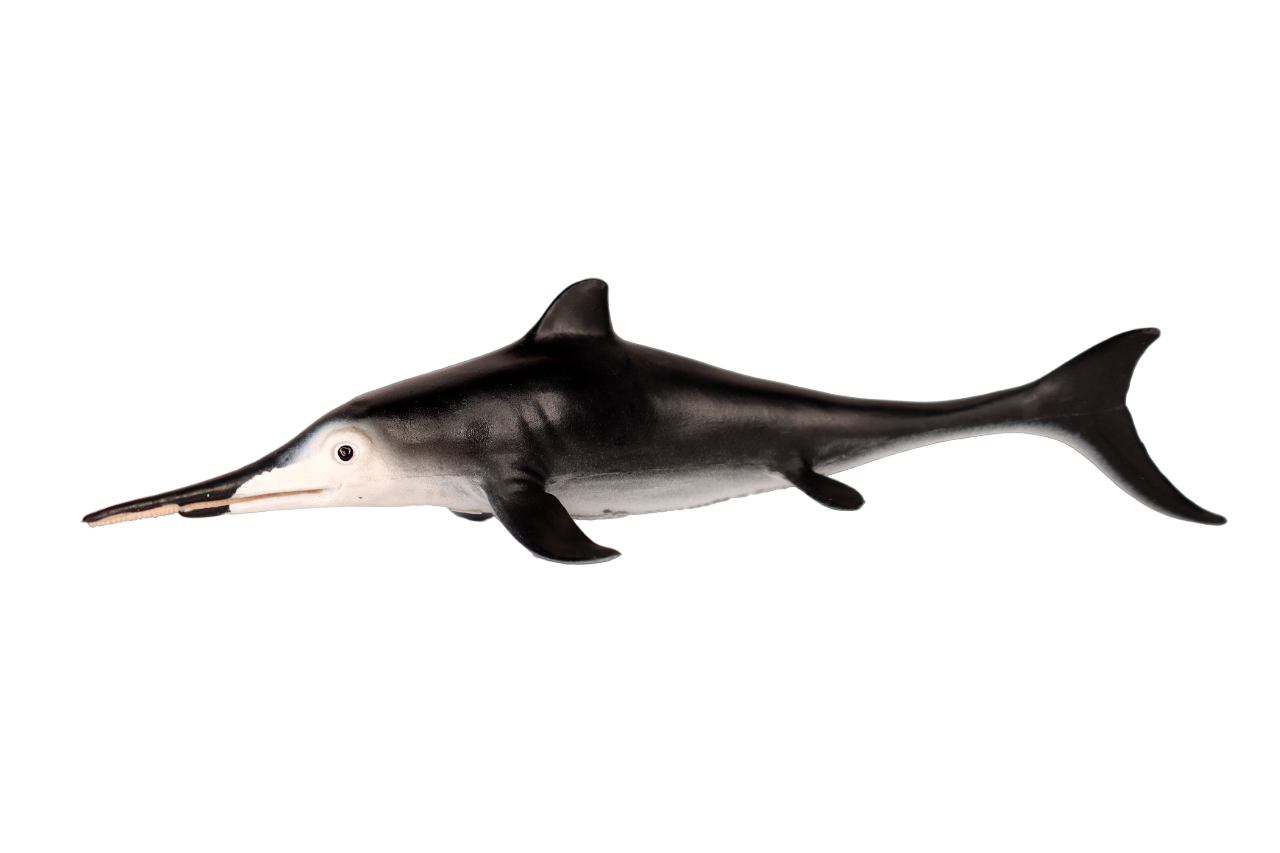 Excalibosaurus Collecta